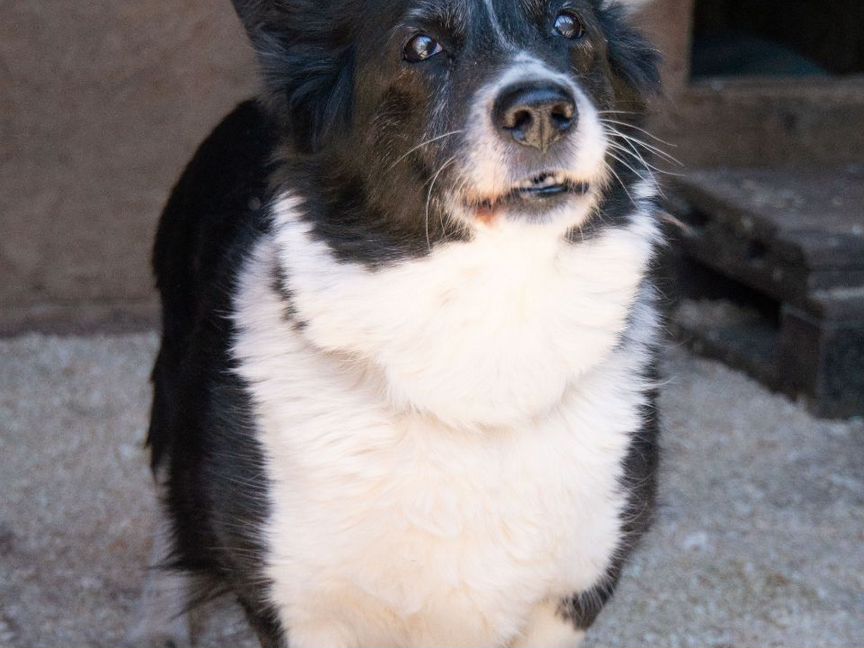 У Даши из приюта мало времени