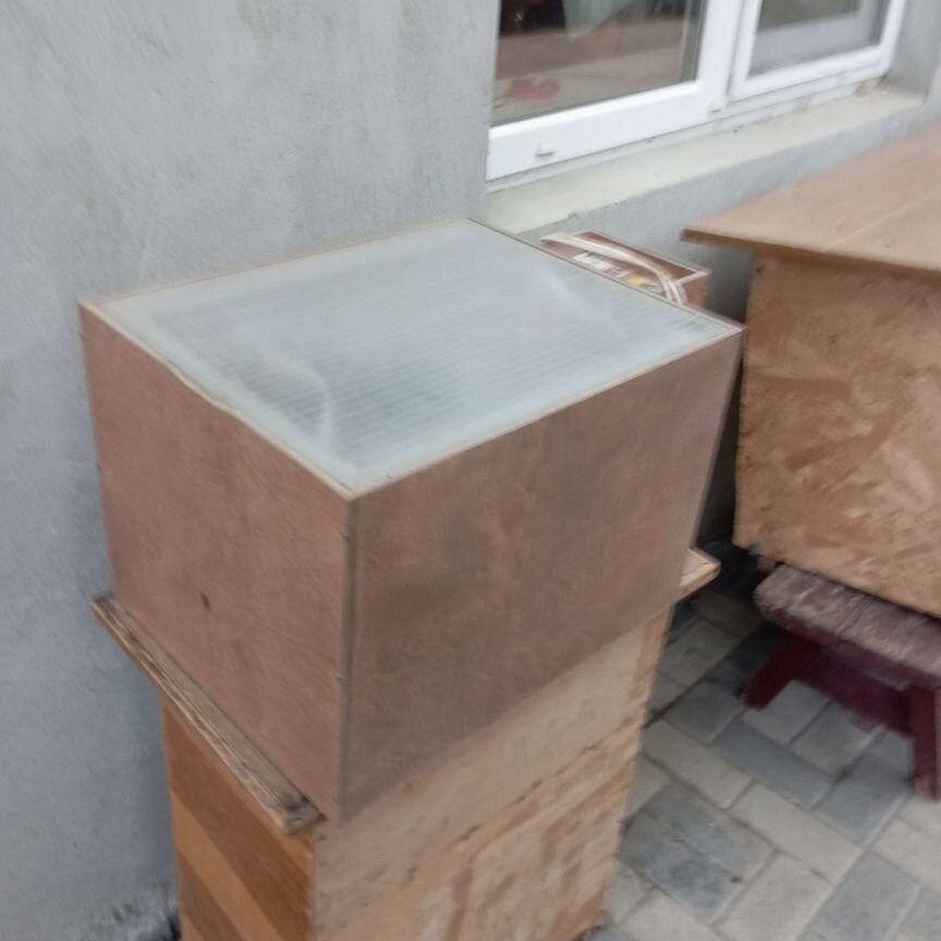 Инкубатор блиц 48