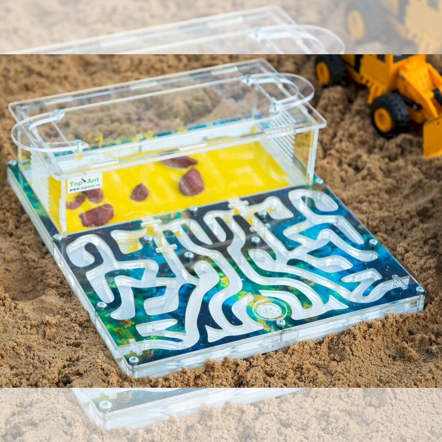 Формикарий/ Подарок для ребенка/ Муравьиная ферма