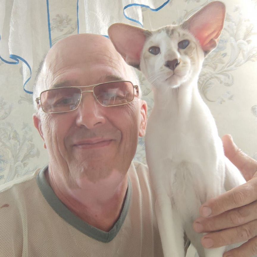 Ищем невесту