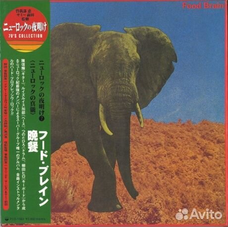 Food brain - (CD, Japan) купить в Москве по низкой цене с доставкой ...