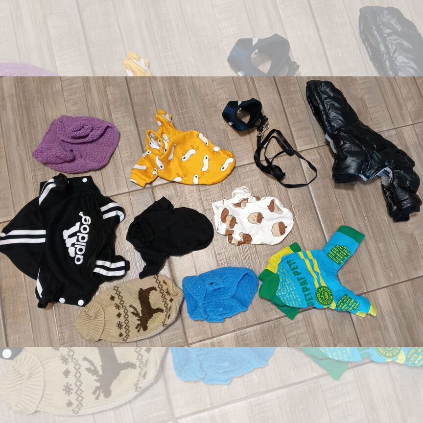 Одежда для собак мелких пород xs