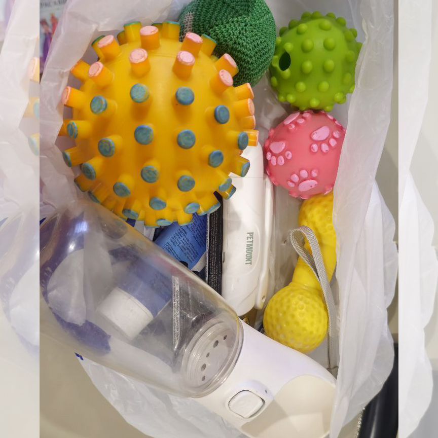 Вещи для собаки пакетом