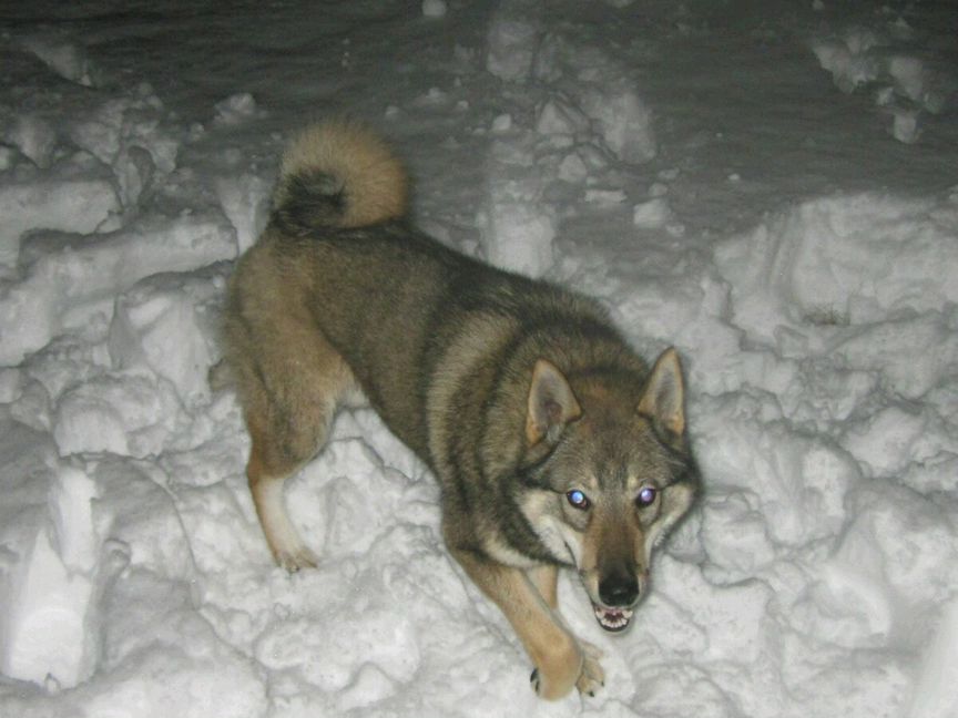 Кабель зсл вязка