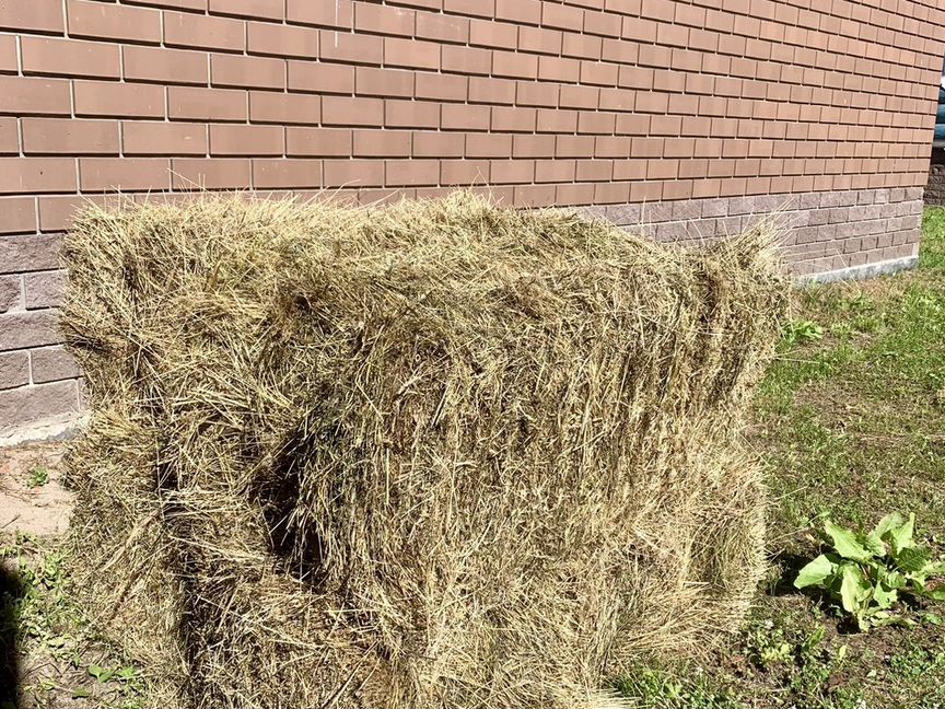 Сено в тюках