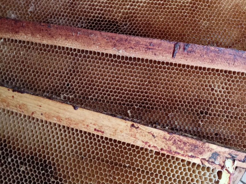 Сушь полурамка магазинная рамка