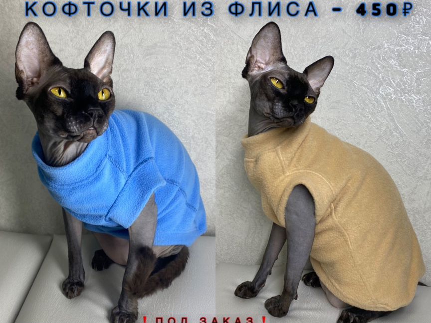 Одежда для сфинкса