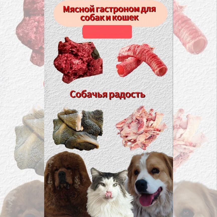 Продам обрезь говяжьих голов для собак