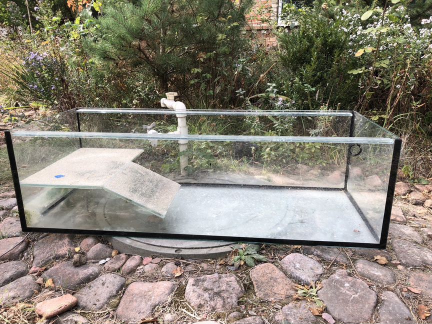 Акввриум для черепах