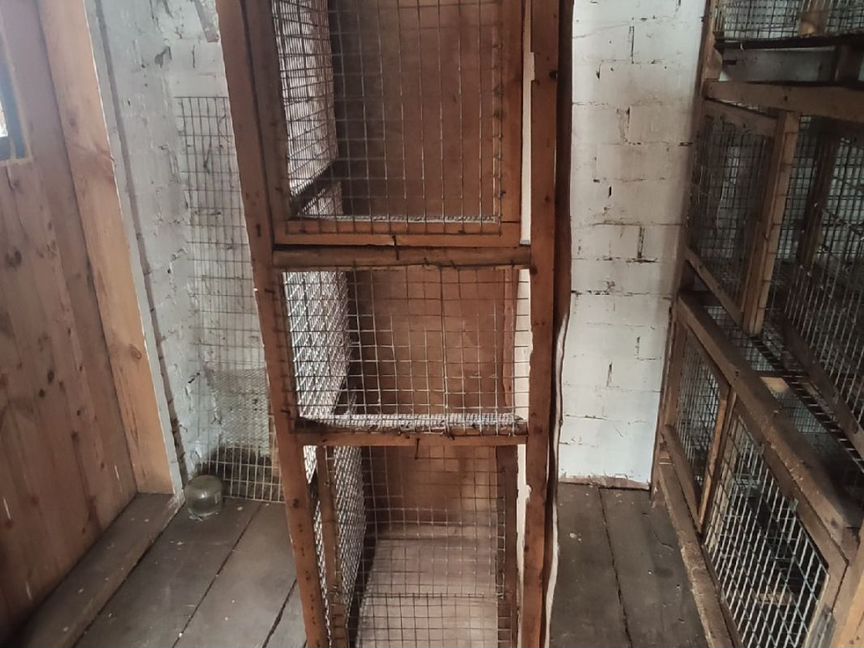 Клетки для кроликов