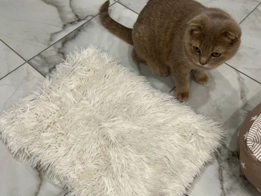 Лежанка для кошек, подстилка, коврик, для кошек