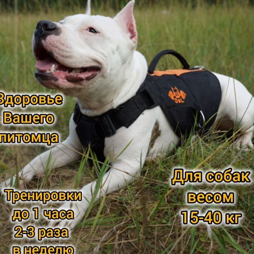 Спортивный жилет для собак с грузом 2 кг