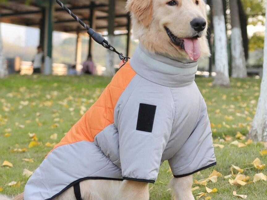 Куртка для больших и средних пород собак
