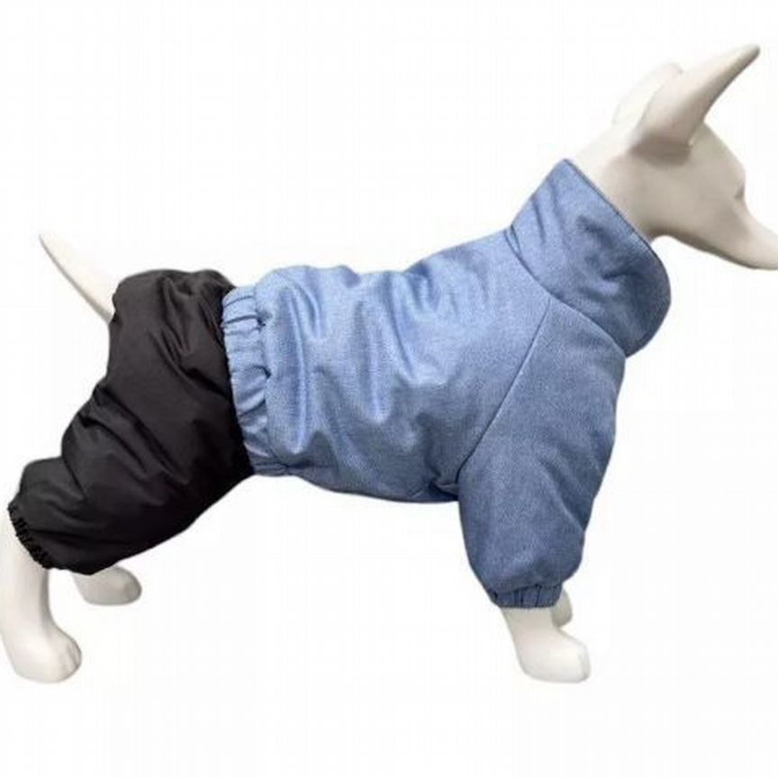 Одежда для собак