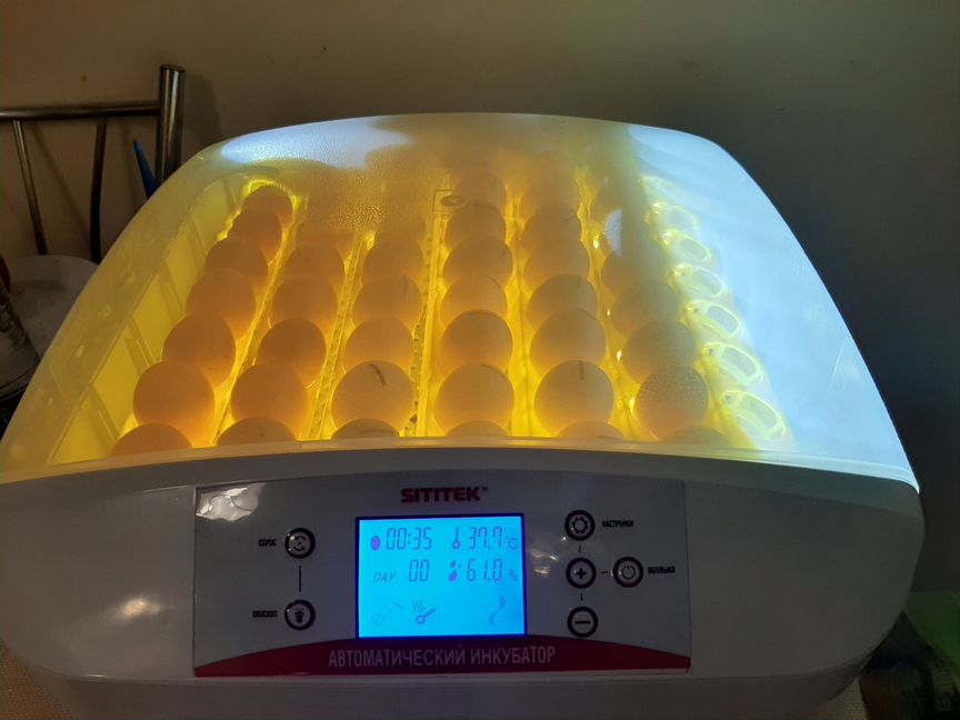 Инкубатор для яиц автоматический