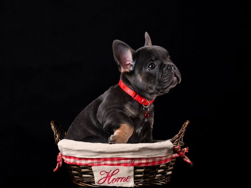 Французский ангелок, голубая мини - Бусинка