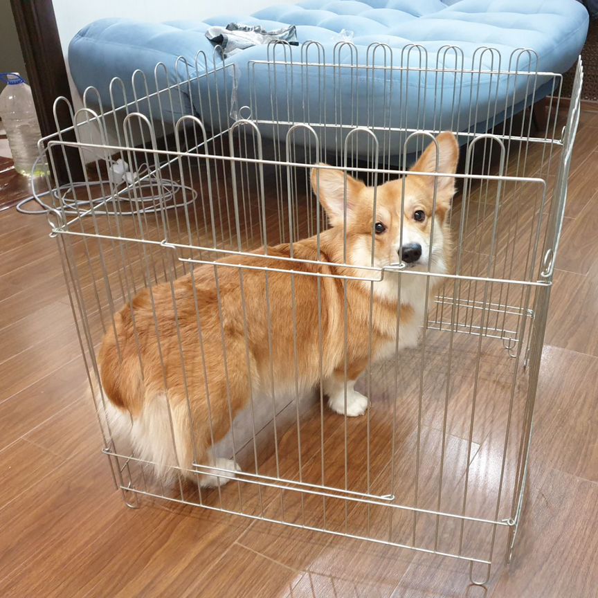 Вольер для собак