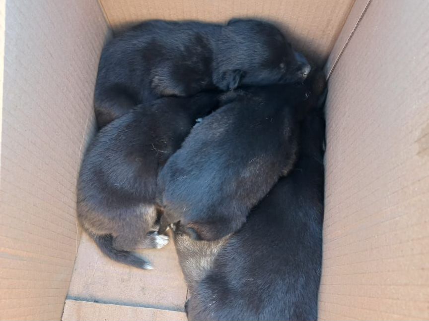 Очень нужна помощь малышам