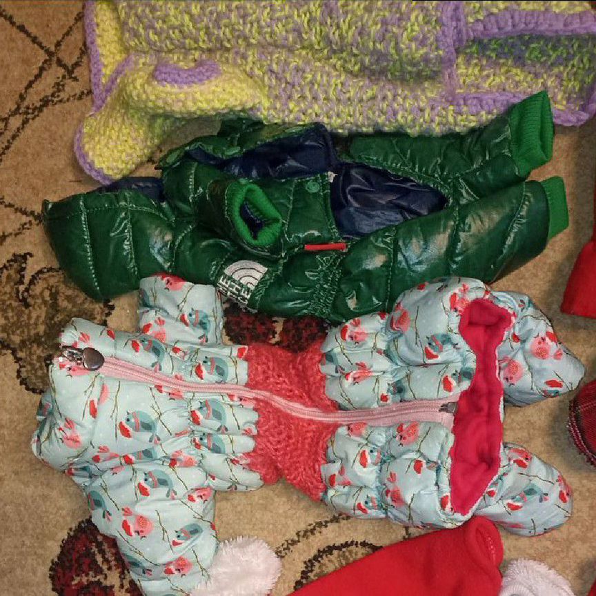 Одежда, шлейка для собак
