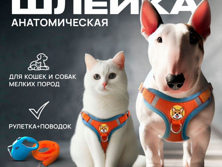 Шлейка для маленькой собаки