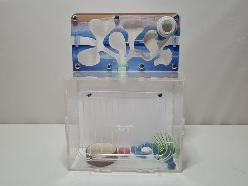 Муравьиная ферма с декором