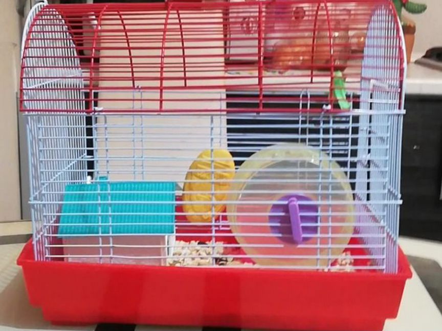Клетка для сирийского хомяка