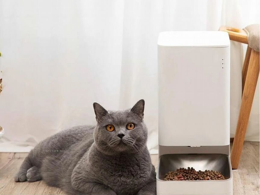 Кормушка Xiaomi SMART Pet Food Feeder