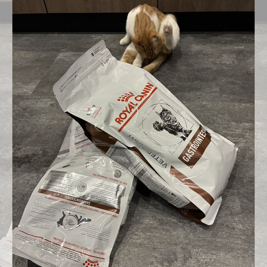 Новый Royal Canin Gastrointestinal 2 Кг Сухой Корм