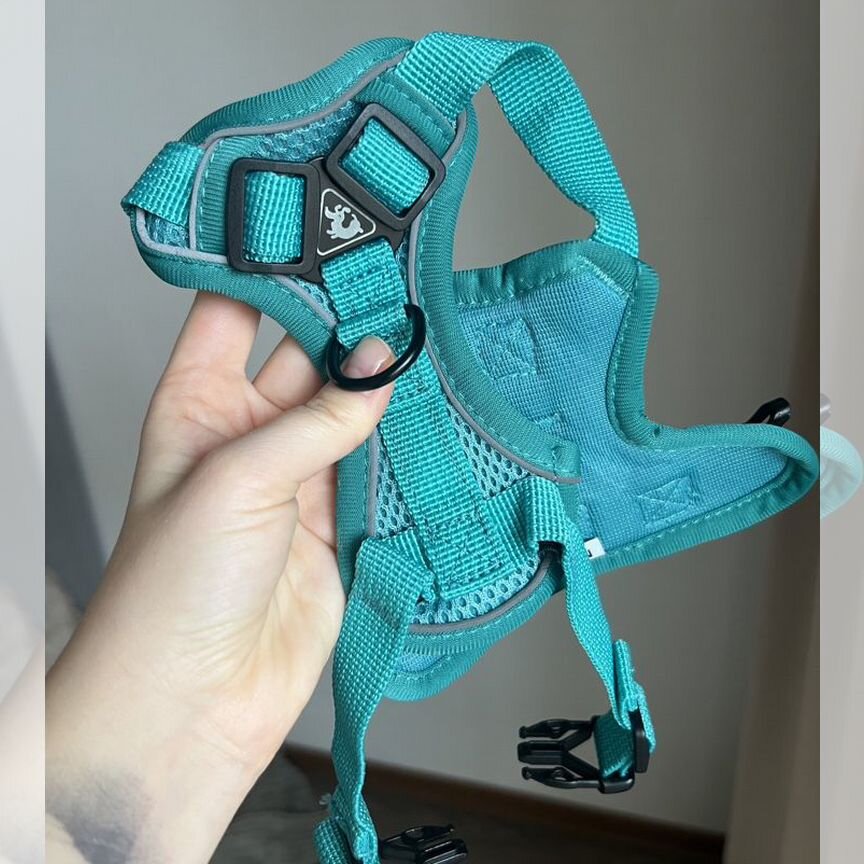 Шлейка для собаки