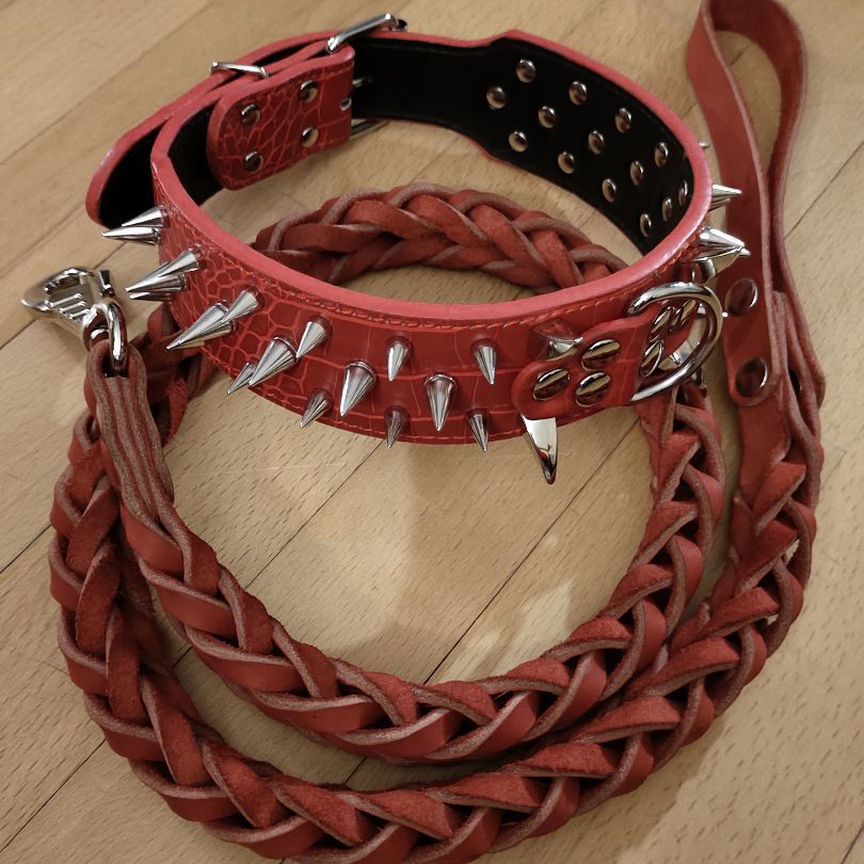 Ошейник и поводок из кожи
