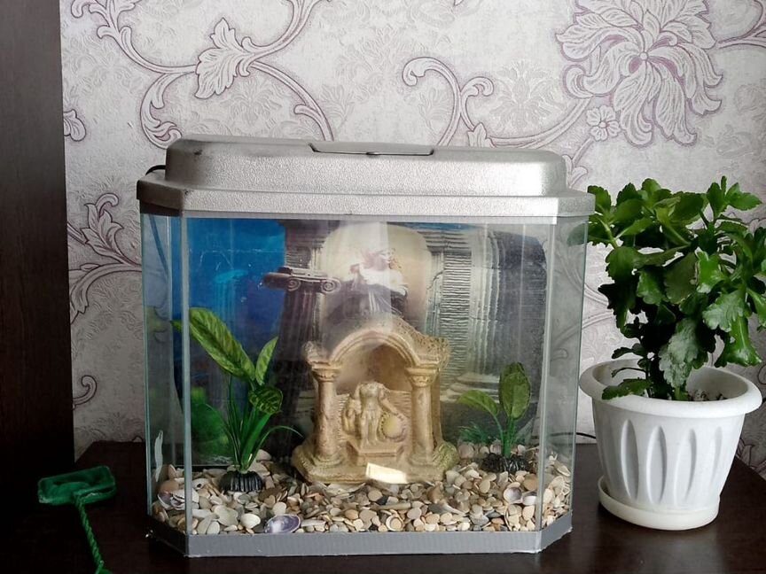 Аквариум
