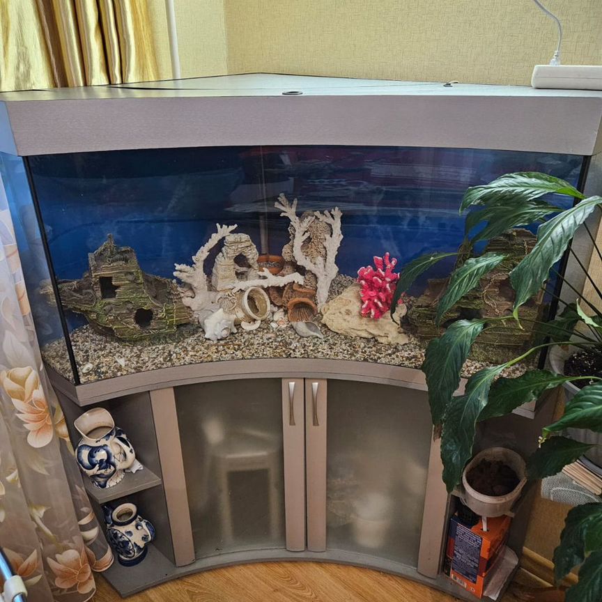 Аквариум с тумбой 220 литров с полной комплектацие