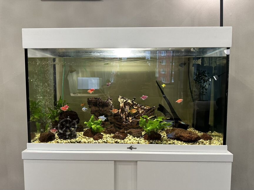 Аквариум Биодизайн 150 литров, с тумбой