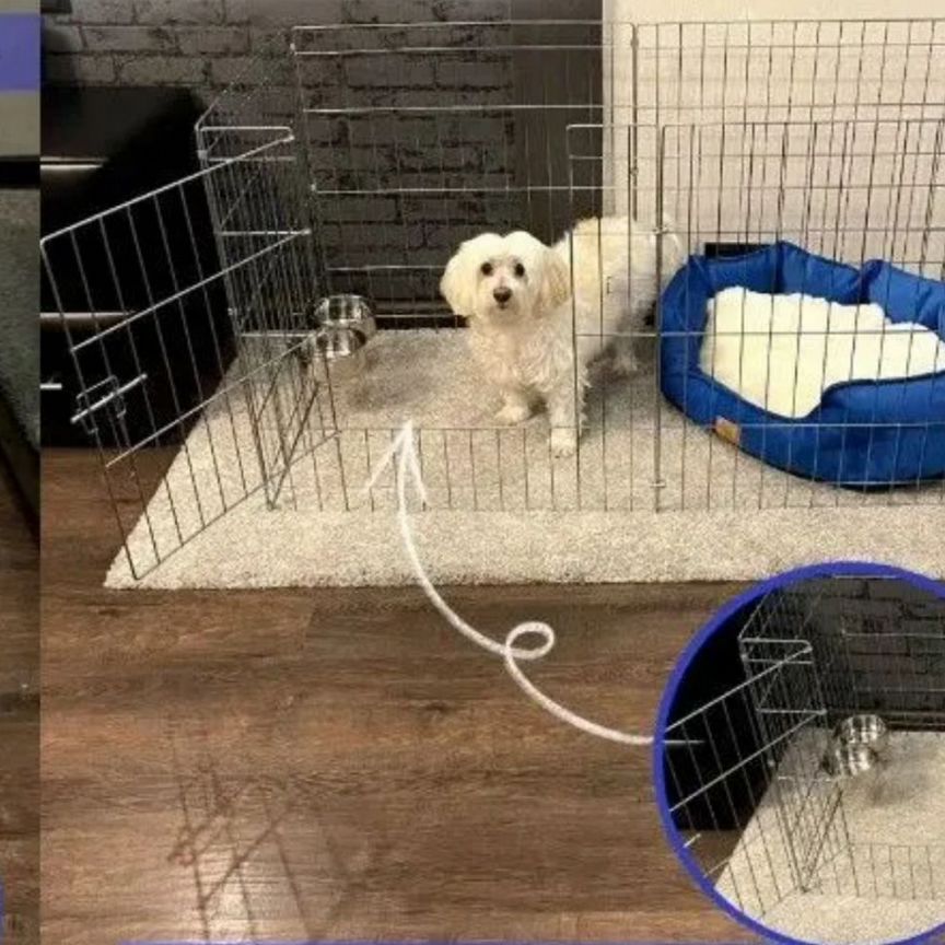 Вольер для собак