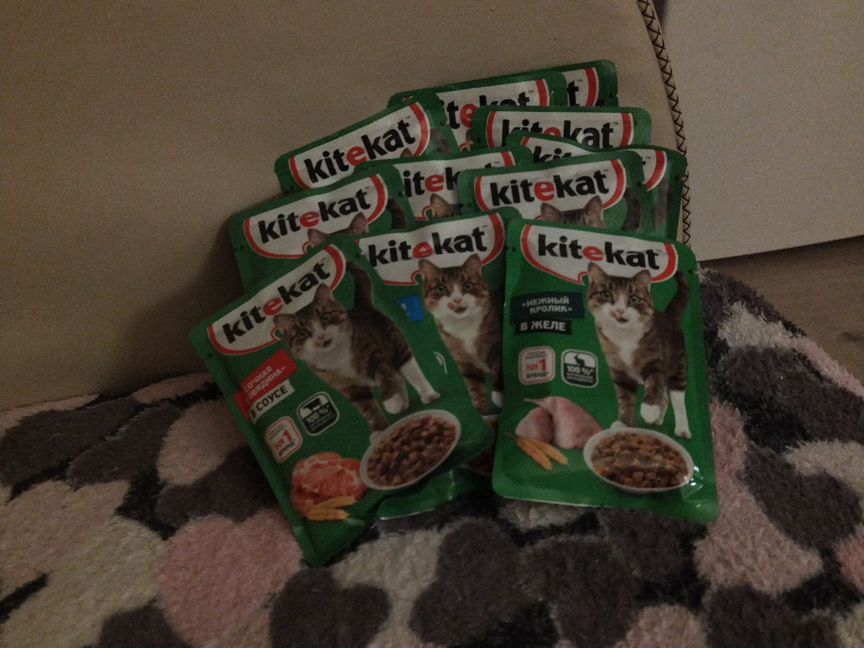 Кити кет влажный в соусе