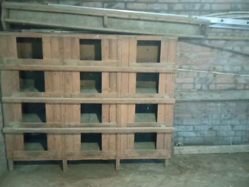 Гнезда для кур деревянные бу