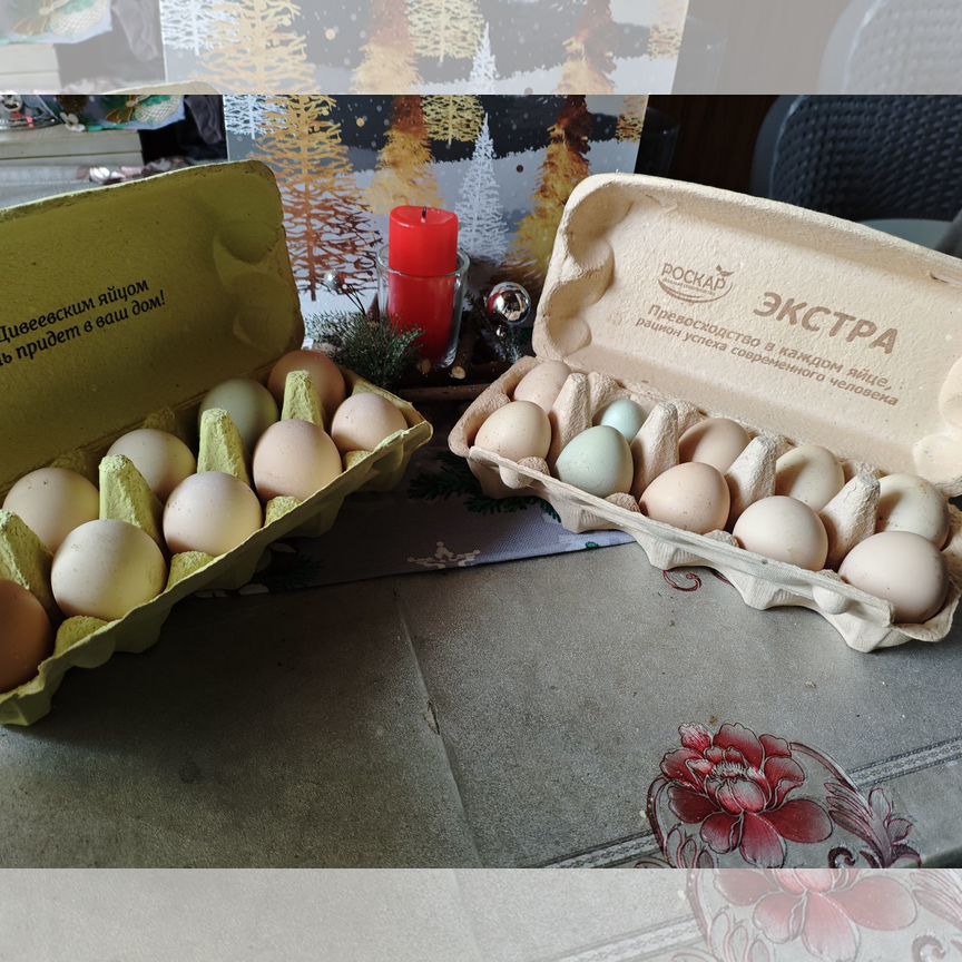 Домашние куриные яйца/в наличие и под заказ