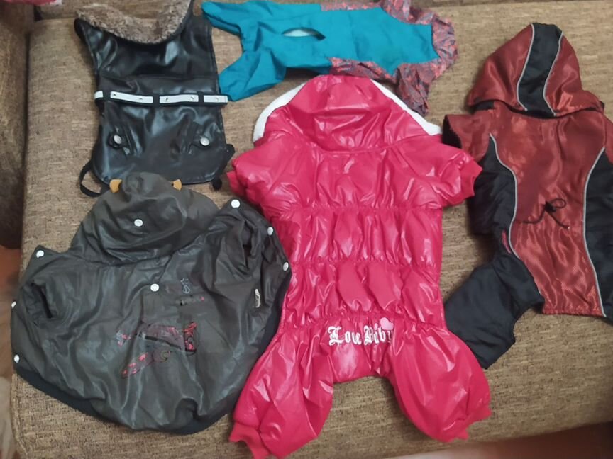 Одежда для собак мелких пород зима