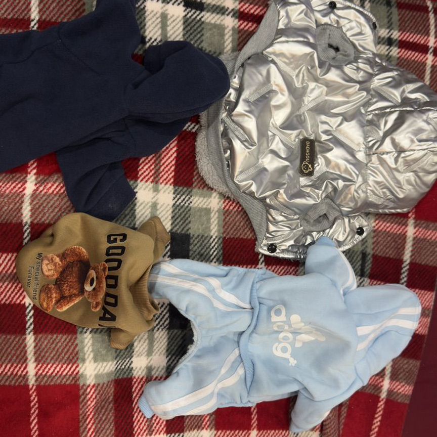 Одежда для собак размера SM