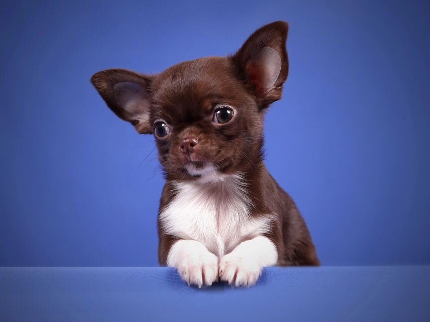 Солнышко вашему дому