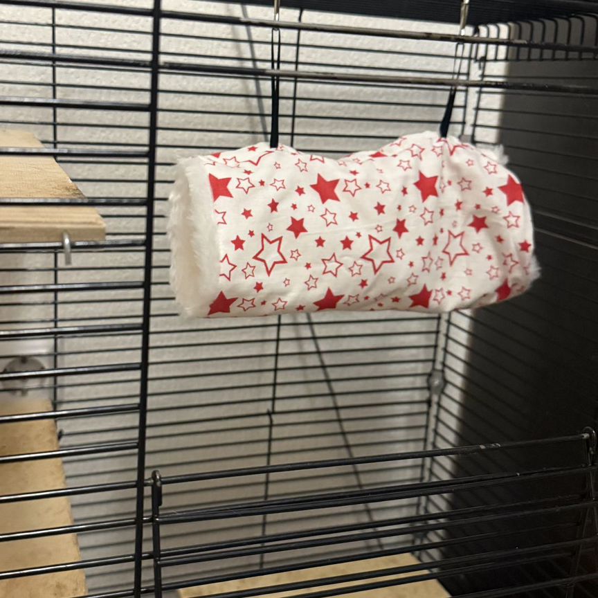 Гамаки для грызунов