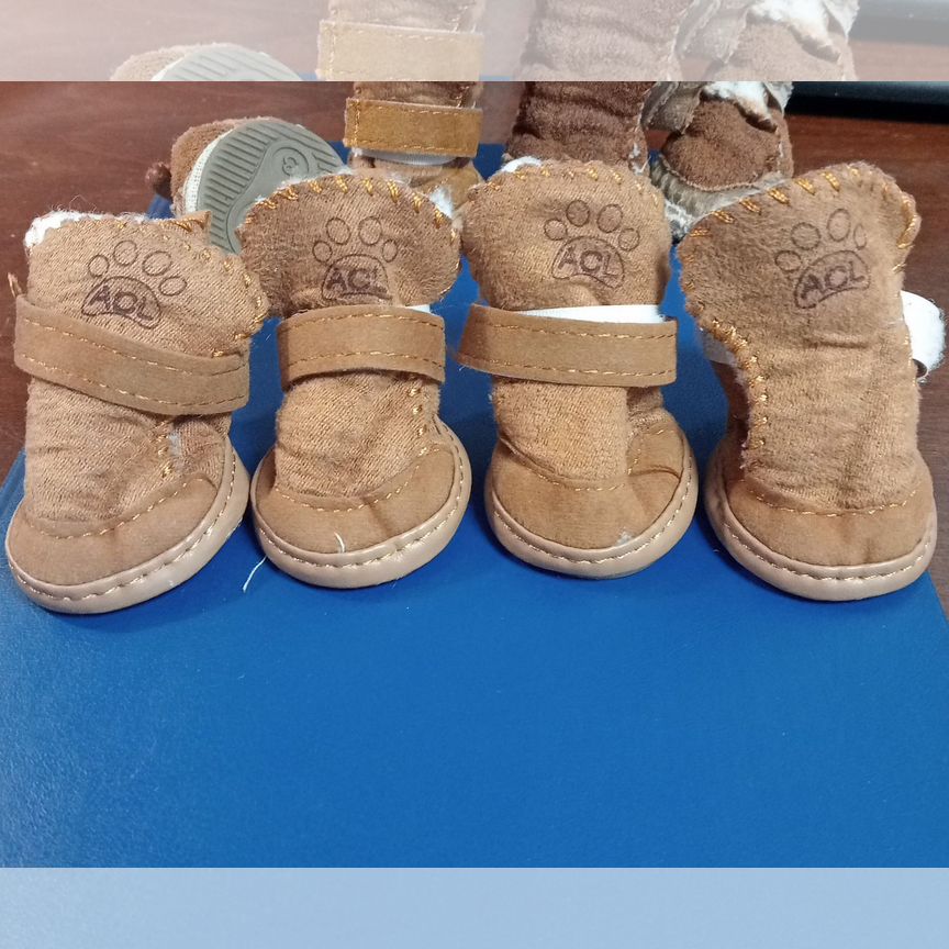 Обувь для маленьких собак