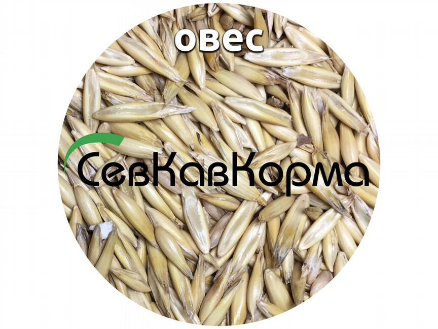 Овес в мешках по 30, 10, 5 кг