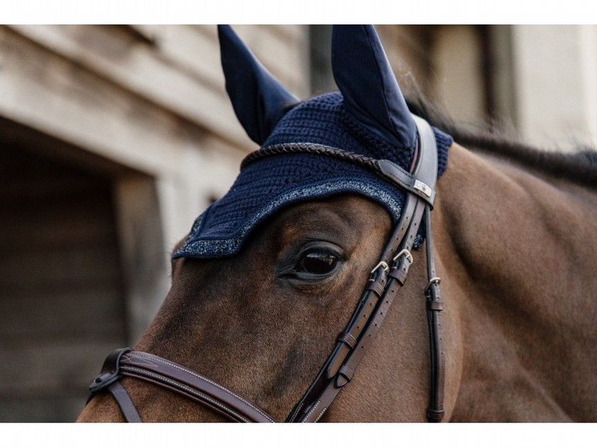 Ушки с камнями от Kentucky