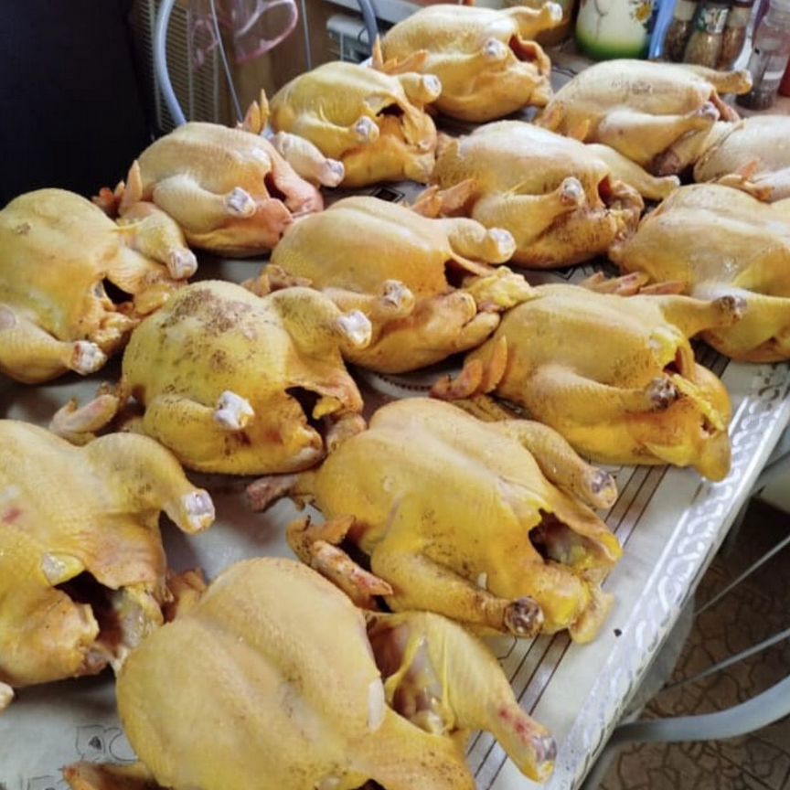 Курица бройлер