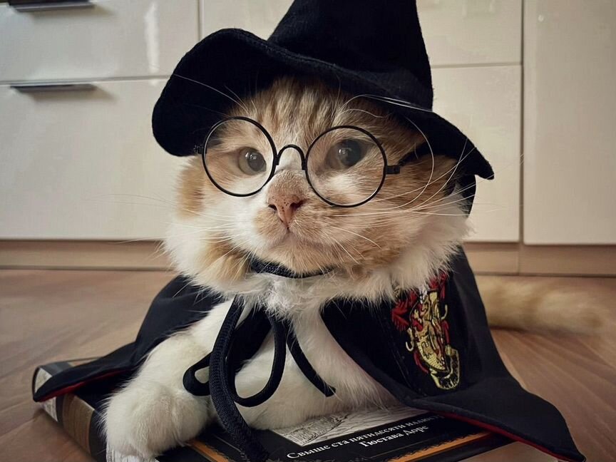 Одежда для кота (собачки) новогодний