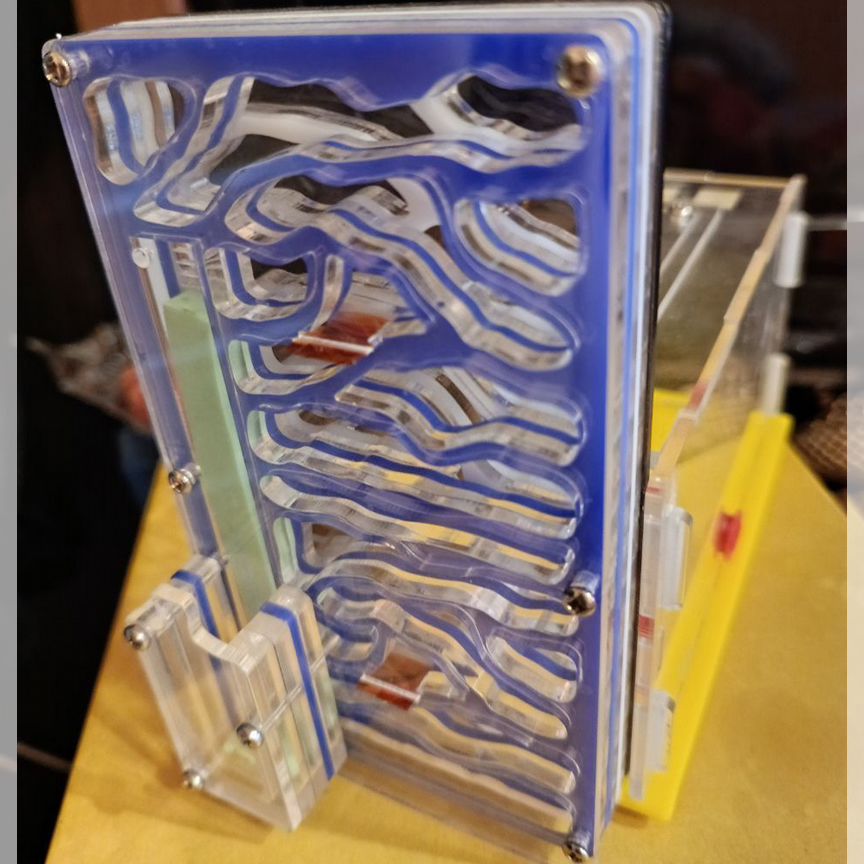 Формикарий для муравьев б/у