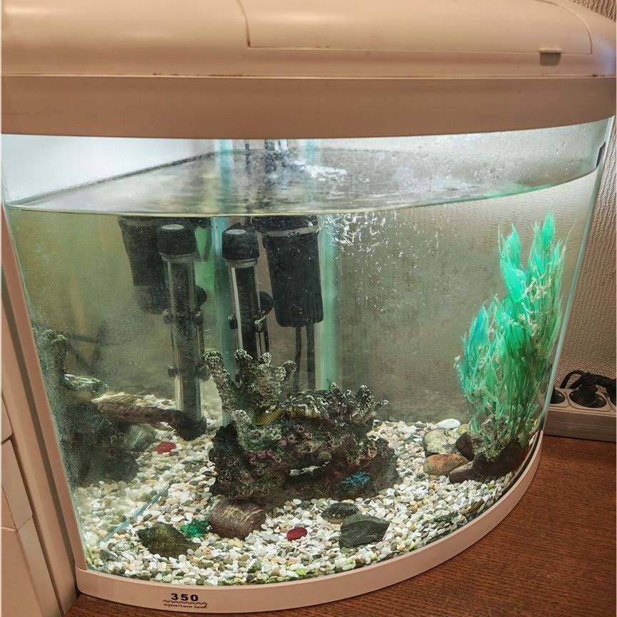 Аквариум 40 литров