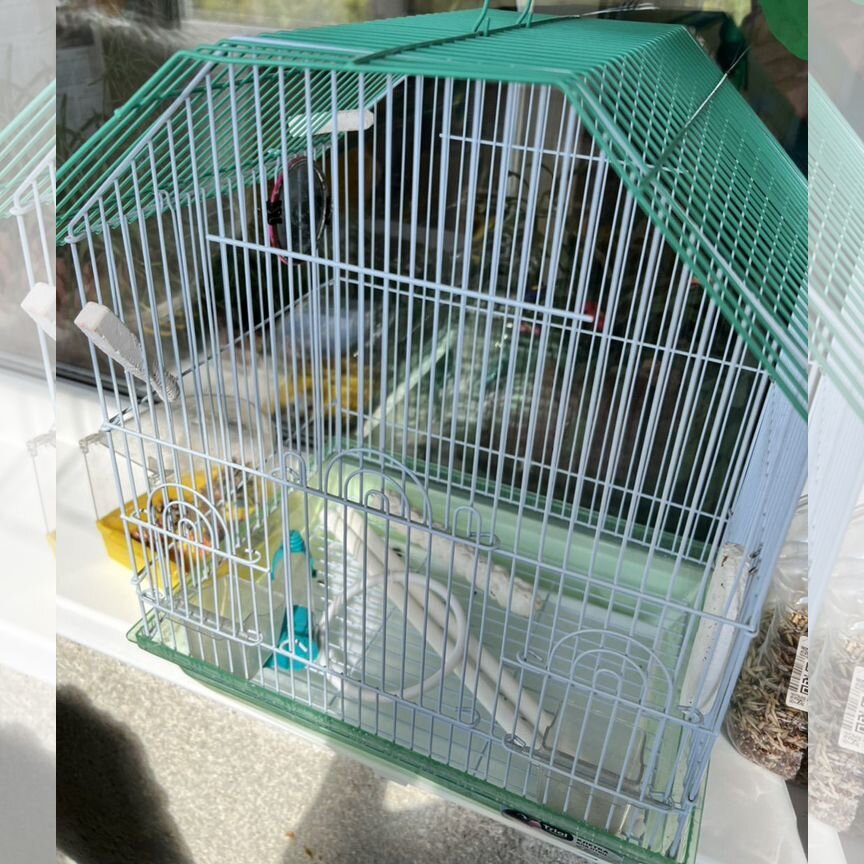 Клетка для попугая