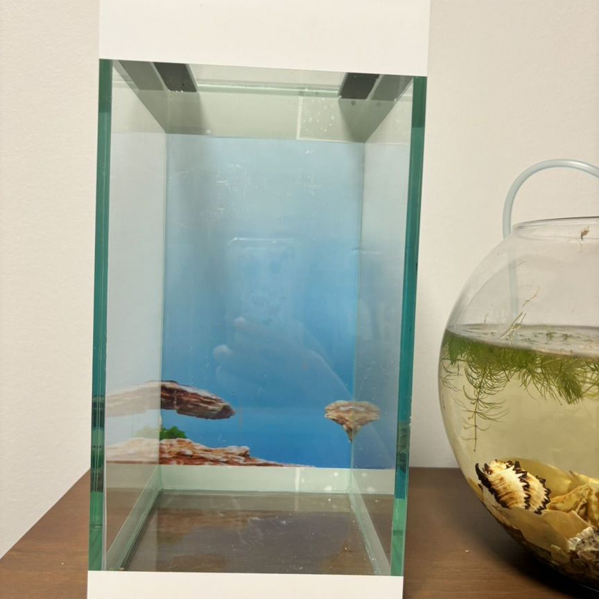 Аквариум 7 литров новый